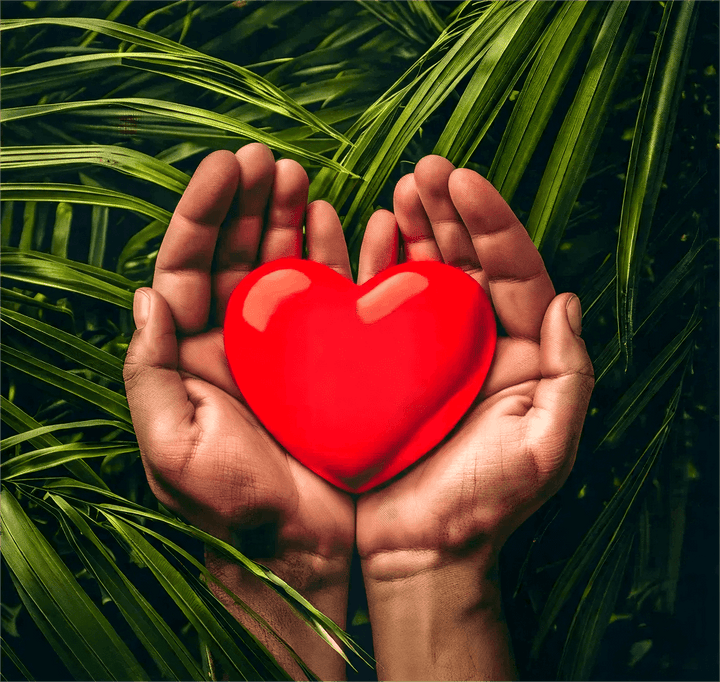 Our Story – Wonz Technology